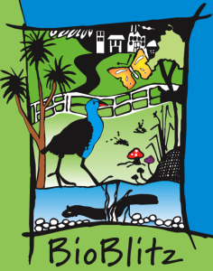 BioBlitz-logo-236×300 – EcoLincNZ