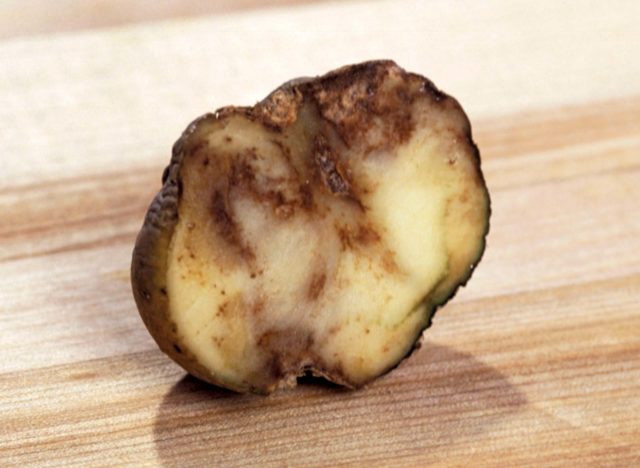 necrosis-of-a-potato-tuber-640×468 – EcoLincNZ