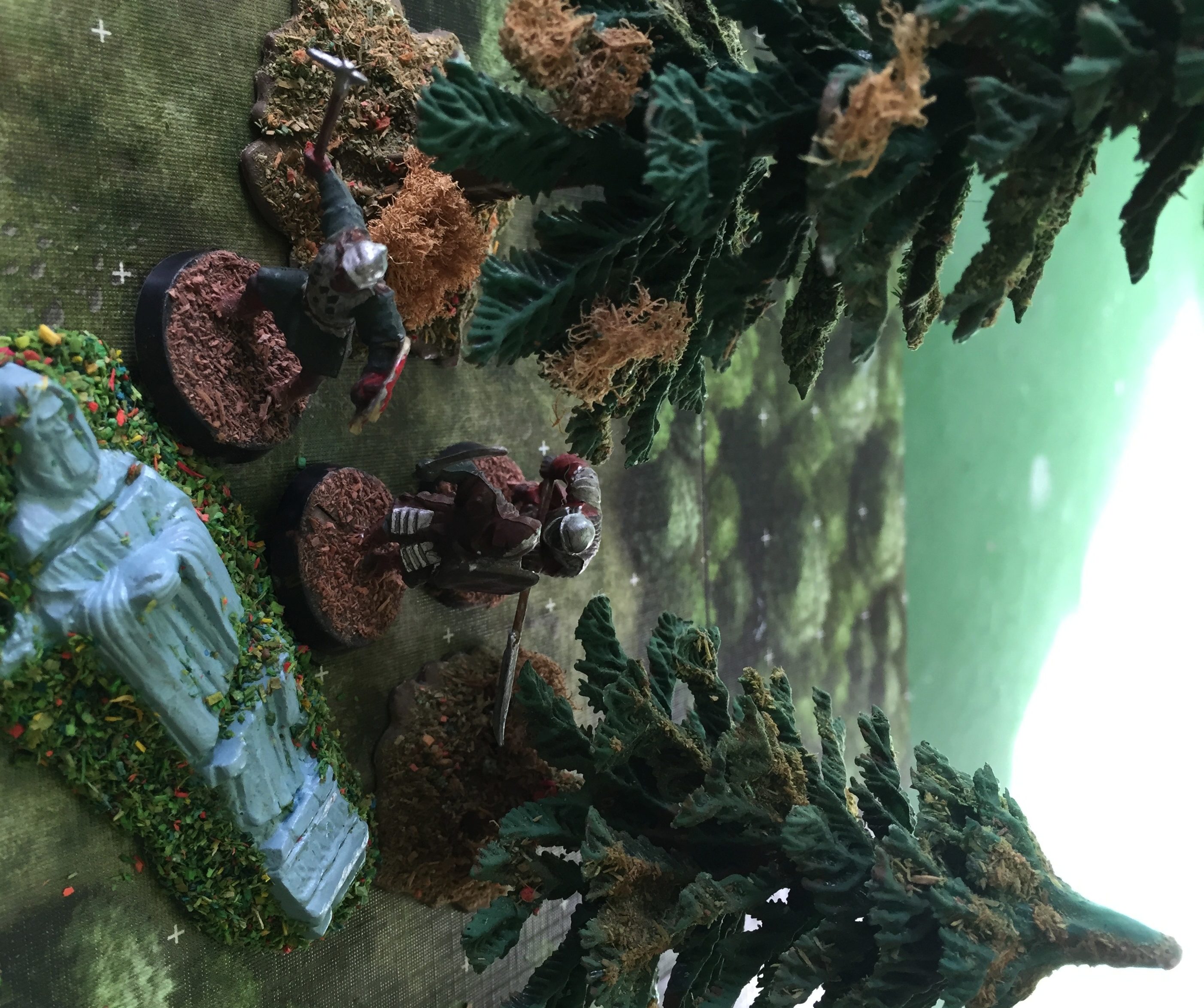 orcs-forest1 – EcoLincNZ