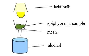 berlese-funnel2a – EcoLincNZ