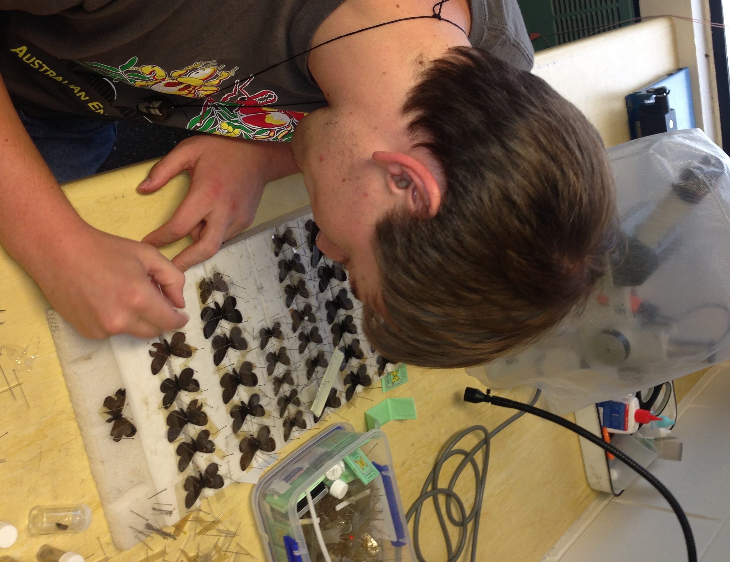 Hamish-Patrick-and-butterflies – EcoLincNZ