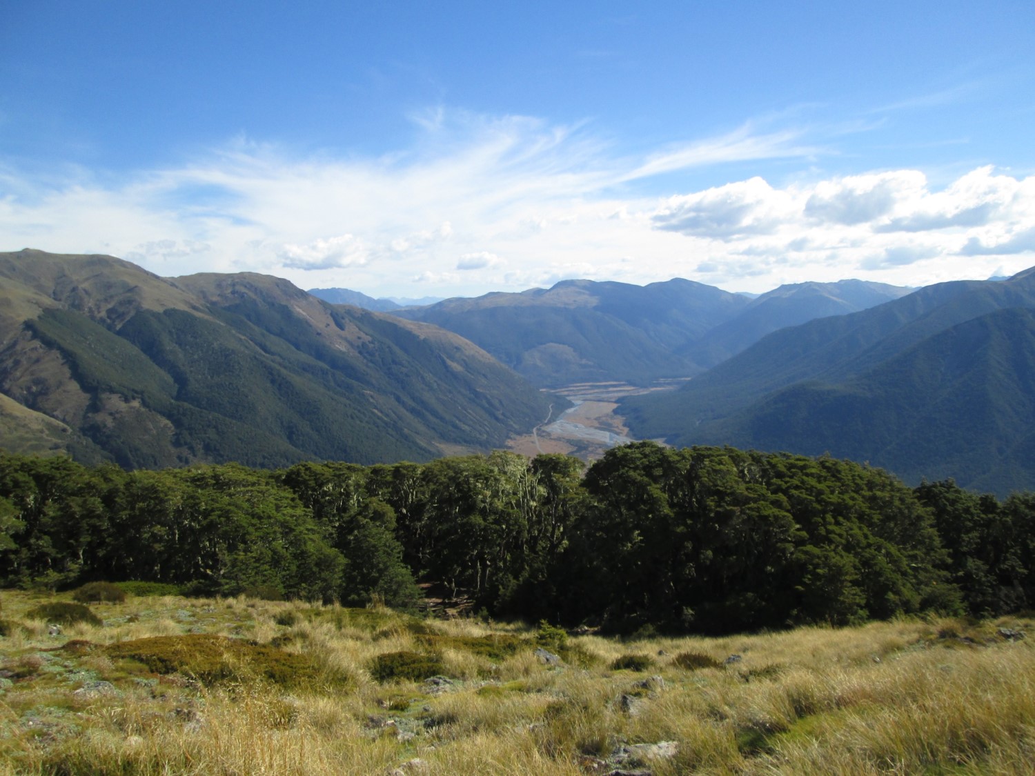 Boyle-River-from-Mt-Faust – EcoLincNZ